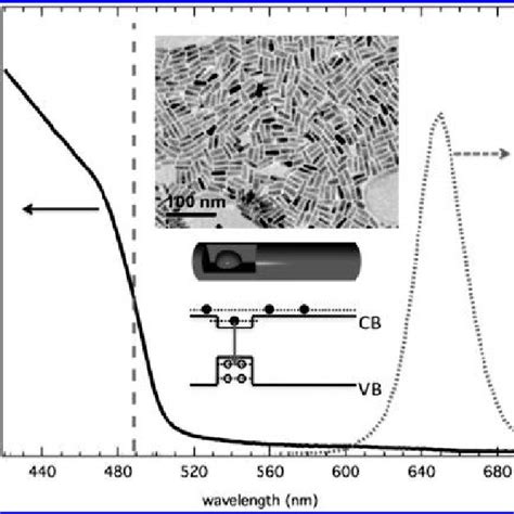 2 Schematic Of A Dual Beam Fibsem Setup Illustrating A Vertical Sem Download Scientific