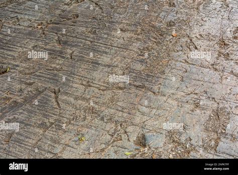 Glacial Abrasion Is The Result Of The Movement Of Glaciers At The