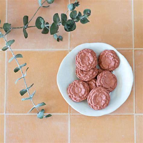 Diy Terracotta Clay Diffuser Stones Oily Chic