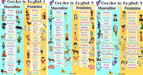 Gender Of Nouns Useful Masculine And Feminine List 7 E S L
