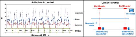 Stride Detection And Calibration Methods Level 1 And 2 Download