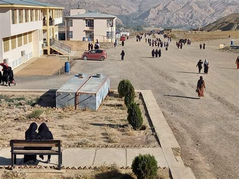 برخورد ماموران امر به معروف طالبان در دانشگاه بامیان؛ یک دختر دانشجو