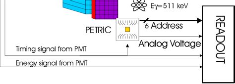 Photomultiplier Tube Scintillator Array Photodiode Array Download Scientific Diagram