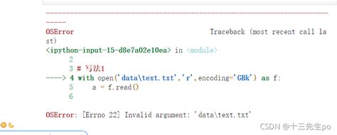 报错： Errno 22 Invalid Argument ‘datatexttxt‘with Open 出现 Errno 22