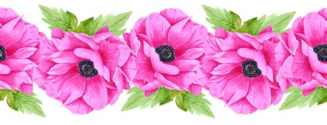 핑크 말미잘 꽃 손으로 그린 수채화 매끄러운 하숙인 흰색 배경에 격리 섬유 직물 포장지에 사용할 수 있습니다 0명에 대한 스톡