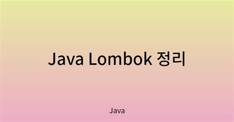 java lombok 정리