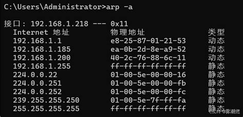 如何查询局域网内所有设备ip？ 查看局域网内所有设备ip csdn博客