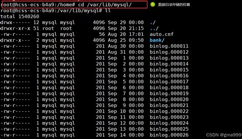 【mysql】服务器管理与配置 mysql服务器 csdn博客