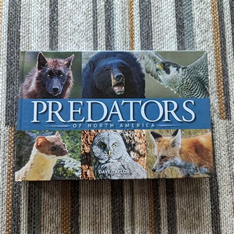 Predators Of North America By Dave Taylor