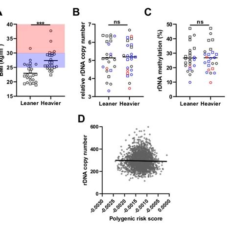 Bmi Does Not Induce Rdna Copy Number Variation And Is Not Influenced By