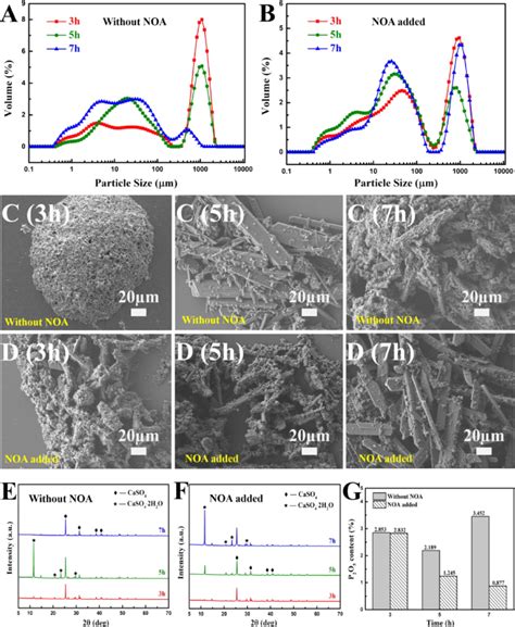 Effect Of Noa Addition On The Reaction Process And Phosphogypsum