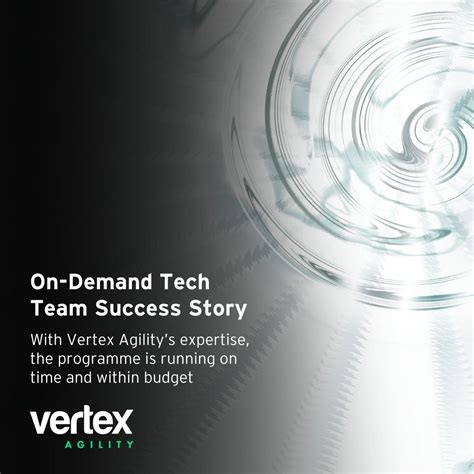 Softwaredeveloper Agileteam Vertex Agility