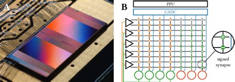 Figure 1 From Surrogate Gradients For Analog Neuromorphic Computing
