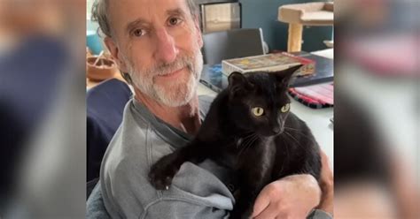 Man Rescues Tiny Black Cat From Field Not Knowing Hed Quickly Return