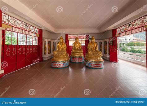 Big Sitting Buddha Wearing Colorful Neon Crown Yellow Clothes Covering