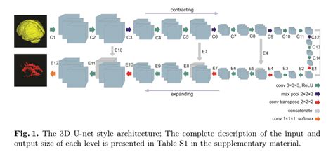 Tversky Loss Function For Image Segmentation Using 3d Fully