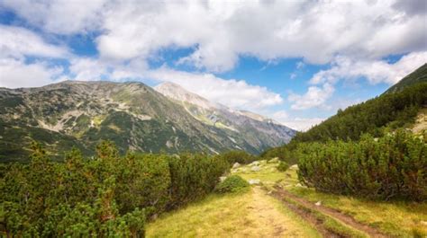 Blending Modes In After Effects Double Exposure Tutorial Motion Array