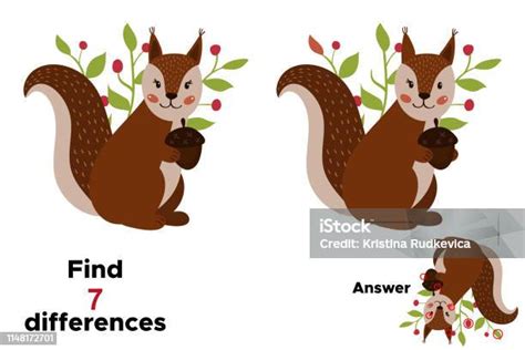 유치원 아이 들을 위한 교육 게임 일곱 가지 차이점을 찾을 대답 귀여운 만화 다람쥐와 도토리 견과에 대한 스톡 벡터 아트 및