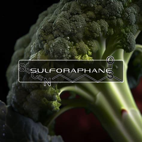 Sulforaphane Source Plant Interstellar Blends Activate Your Super Powers