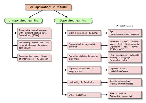 Applications Of Machine Learning Methods In Resting State Fmri