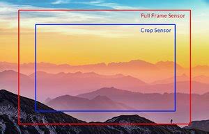 14 Full Frame Vs Cropped Sensor Which One Reigns Supreme