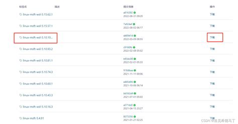wsl2使用usb设备 wsl2 usb csdn博客