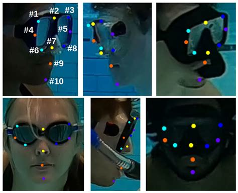 Visual Detection Of Diver Attentiveness For Underwater Hri Minnesota