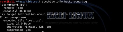 隐藏文件到图片或音频中——kali linux steghide工具 将程序隐藏到图片kali csdn博客