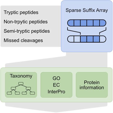 Unipept In 2024 Expanding Metaproteomics Analysis With Support For