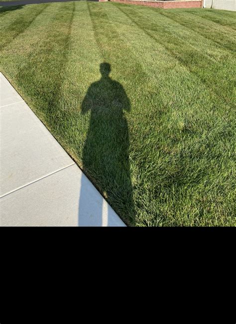 Which Tttf To Pick Lawn Care Forum