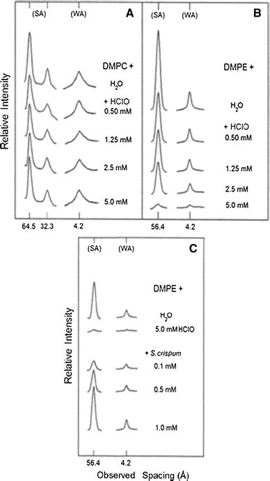 X Ray Diffraction Patterns Of A Dimyristoylphosphatidylcholine Dmpc Download Scientific