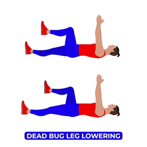 Premium Vector Vector Man Doing Dead Bug Leg Lowering Bodyweight Fitness Core Workout Exercise