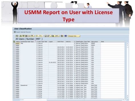 Sap License Audit