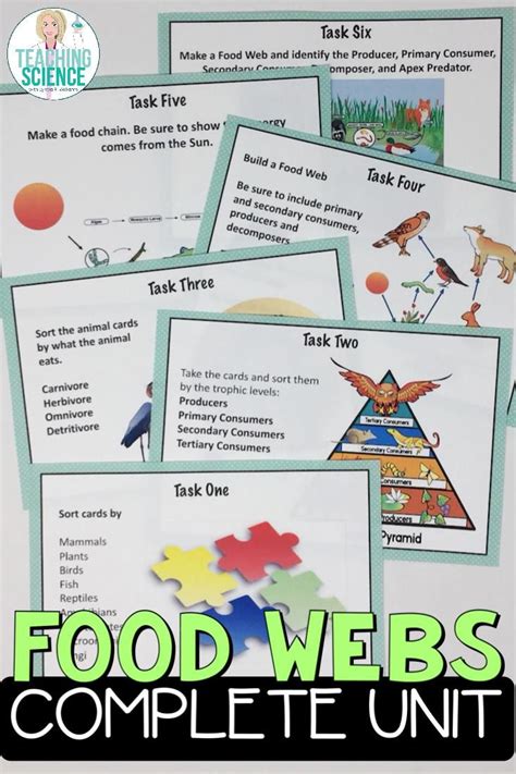 Energy Flow In Ecosystems Complete Science Unit Artofit