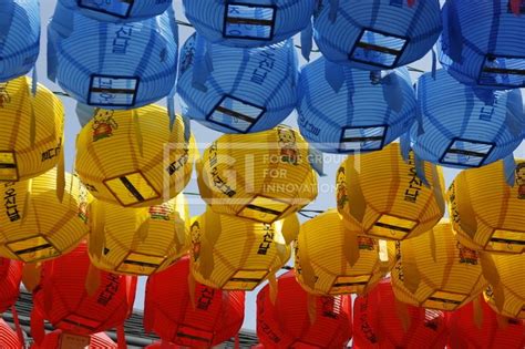 부처님오신날 연등 이미지 Yanggiri 사진 부처님 오신날 연등 이미지 축제 행렬 연꽃 등불 자비 행사