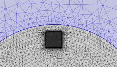 The Cell Placement In The Macro Scale Contact Region Of The Pin On Disc