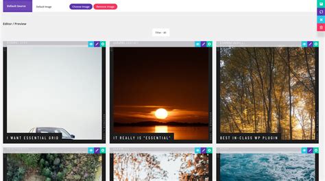 Make A Grid From Your Blog Posts Essential Grid WordPress Gallery Plugin