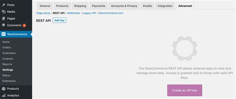 A Simple Guide To The WooCommerce API