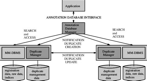 Duplicate Managers For The Generation And Administration Of Media