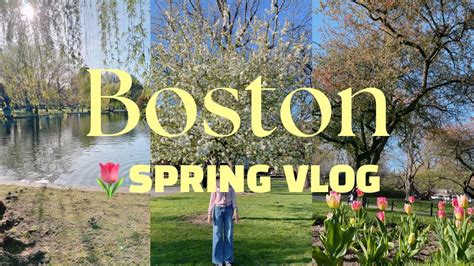 미국 보스턴 일상 브이로그 🌷 보스턴 봄 찰스강 보스턴커먼 퍼블릭가든 봄맞이 쇼핑 자라 Handm 홈굿즈 Youtube