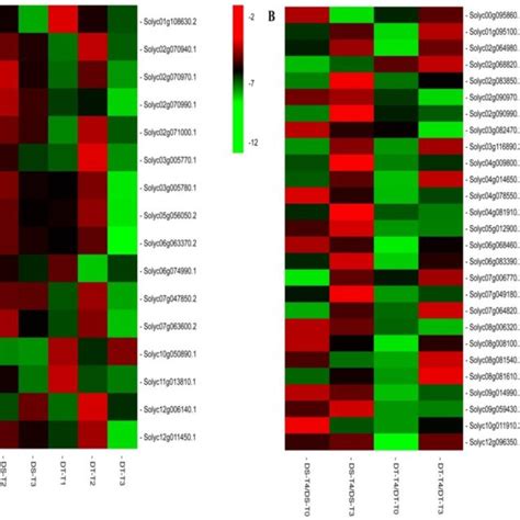 Heatmap Of The Expression Of Overlapping Genes With Enriched KEGG
