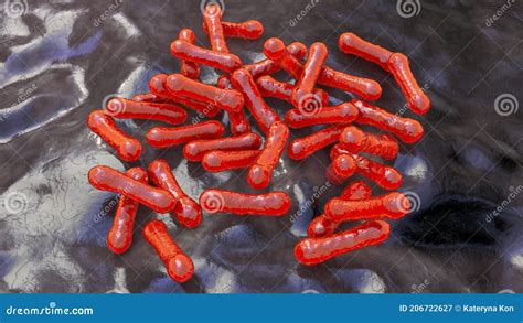 Bacteria Corynebacterium Diphtheriae Royalty Free Illustration 206723052