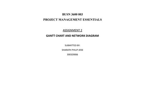 assignment 2 sharath philip jose 300329006 busn 3600 003 project