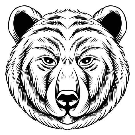Black And White Hand Drawing Bear Head Illustration Vector 13351168 Vector Art At Vecteezy