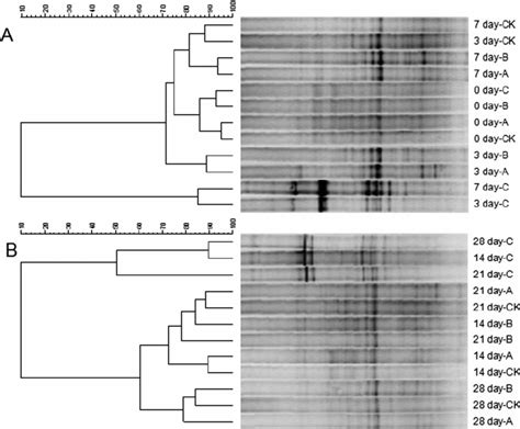 Effects Of Different Treatments On Bacterial Community Structure Dgge