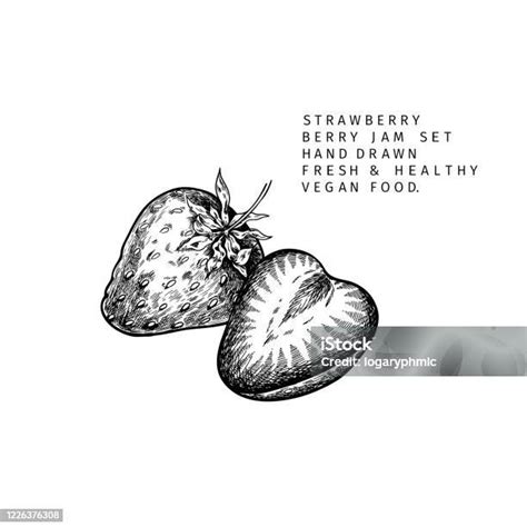 손으로 그린 딸기 가지 잎과 베리 벡터 일러스트가 새겨진 농업 공장 여름 수확 잼 또는 마멀레이드 유기농 비건 성분 메뉴 패키지 화장품 및 식품 디자인 개체 그룹에 대한