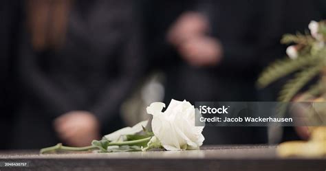 장례식 장미와 꽃은 죽음 슬픔 또는 추모에서 애도하는 사람을 위한 야외 매장 의식을 위해 묘지의 관에 있습니다 묘지 장미 또는 관 무덤 또는 묘비에 대한 존경을 위한 꽃