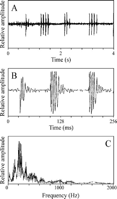 Figure From Seismic Sensitivity And Communication In Subterranean Mammals Semantic Scholar