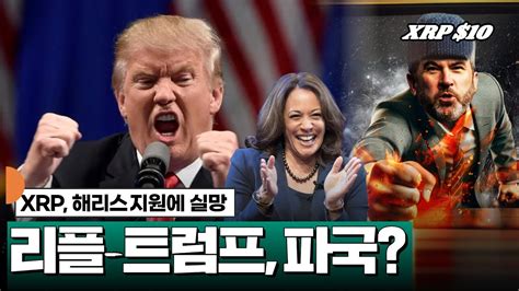 Xrp 해리스 지원 발각 트럼프 리플 파투 입장발표 Xrp Youtube
