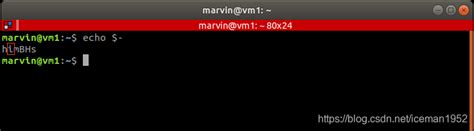 交互式shell（interactive Shells） Csdn博客